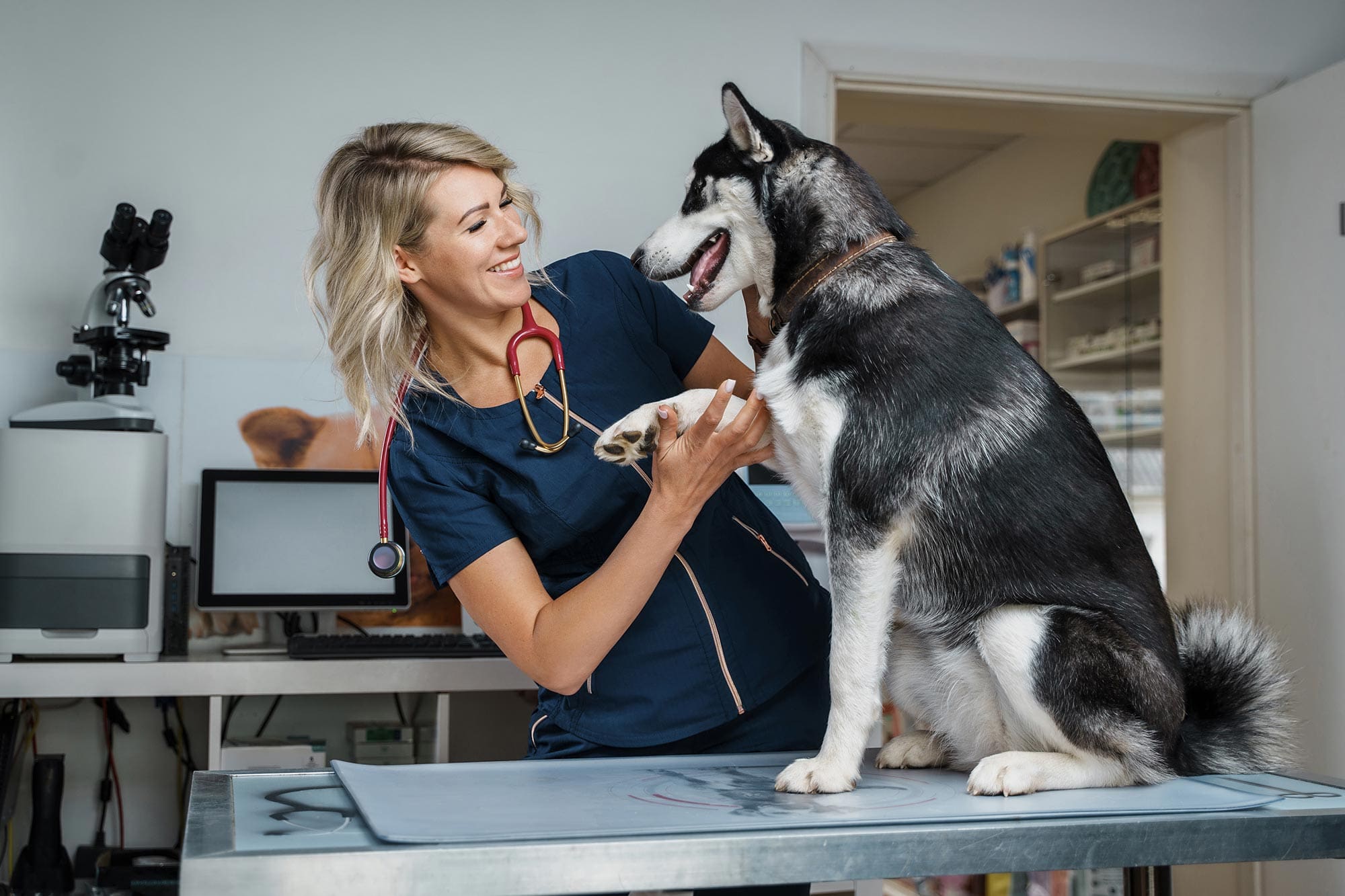 Welcomed Patient Referrals in Prosper at REVIVE Veterinary